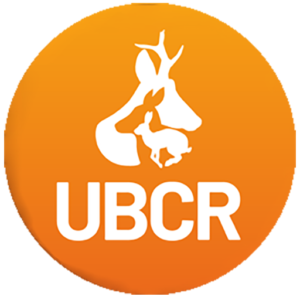 Les périodes de Chasse 2025-2030 bientôt publiées - UBCR