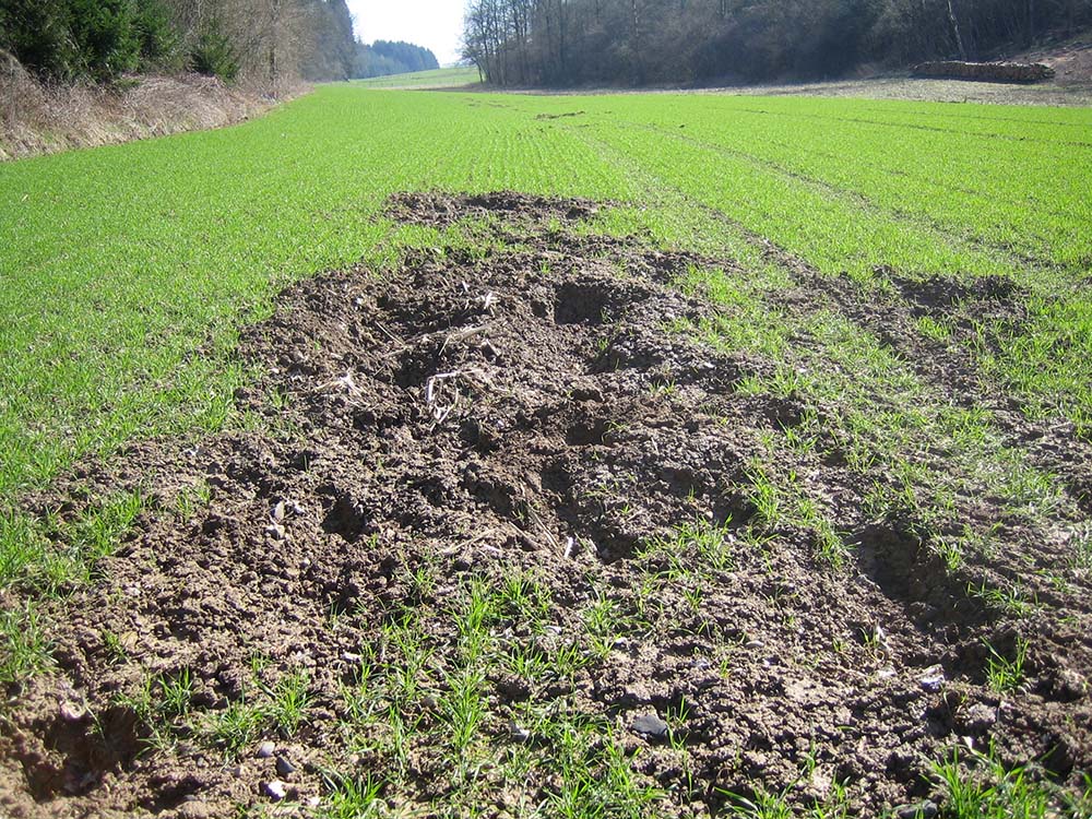 Les périodes de Chasse 2025-2030 bientôt publiées - UBCR